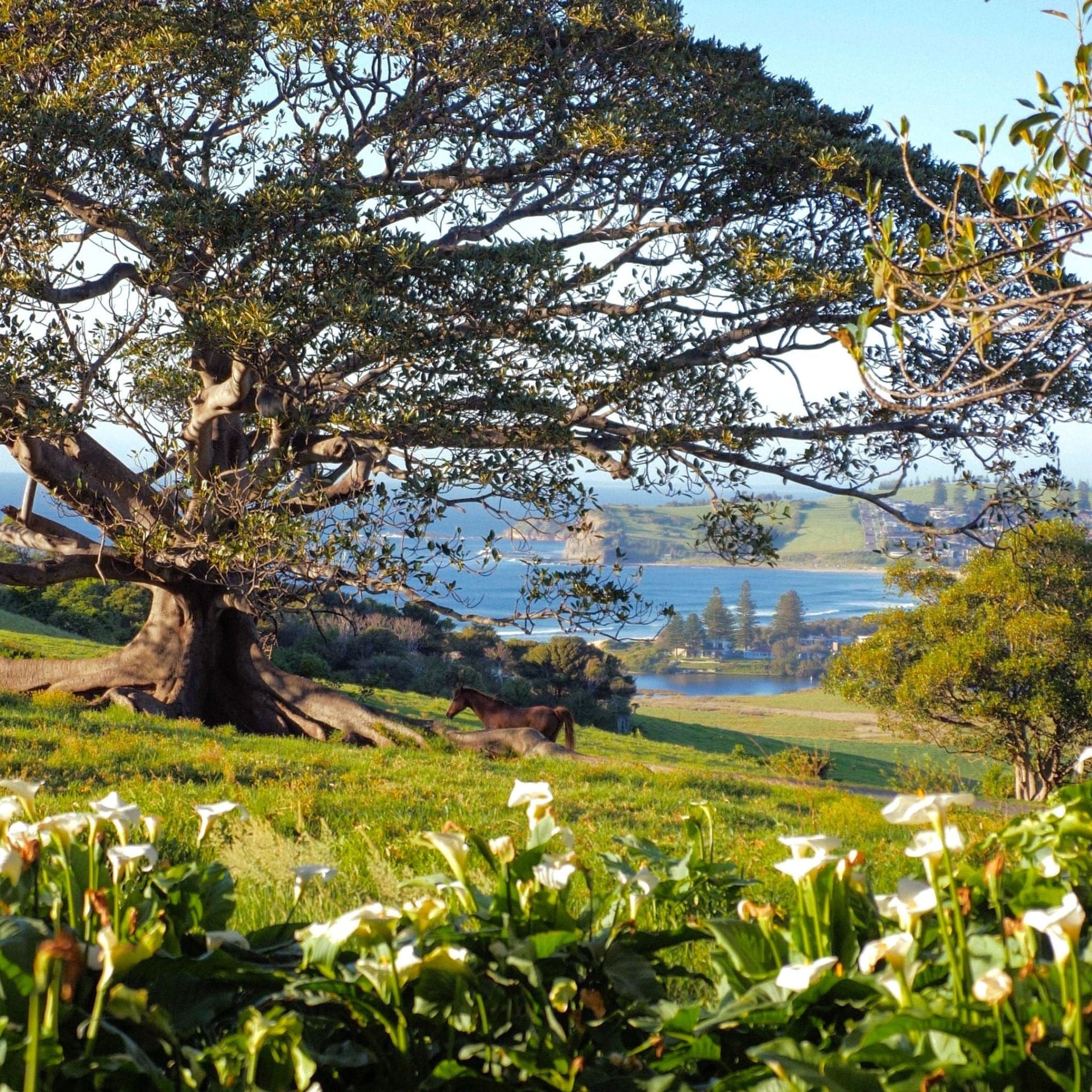The Perfect Break Cafe - Located in the heart of Gerringong
